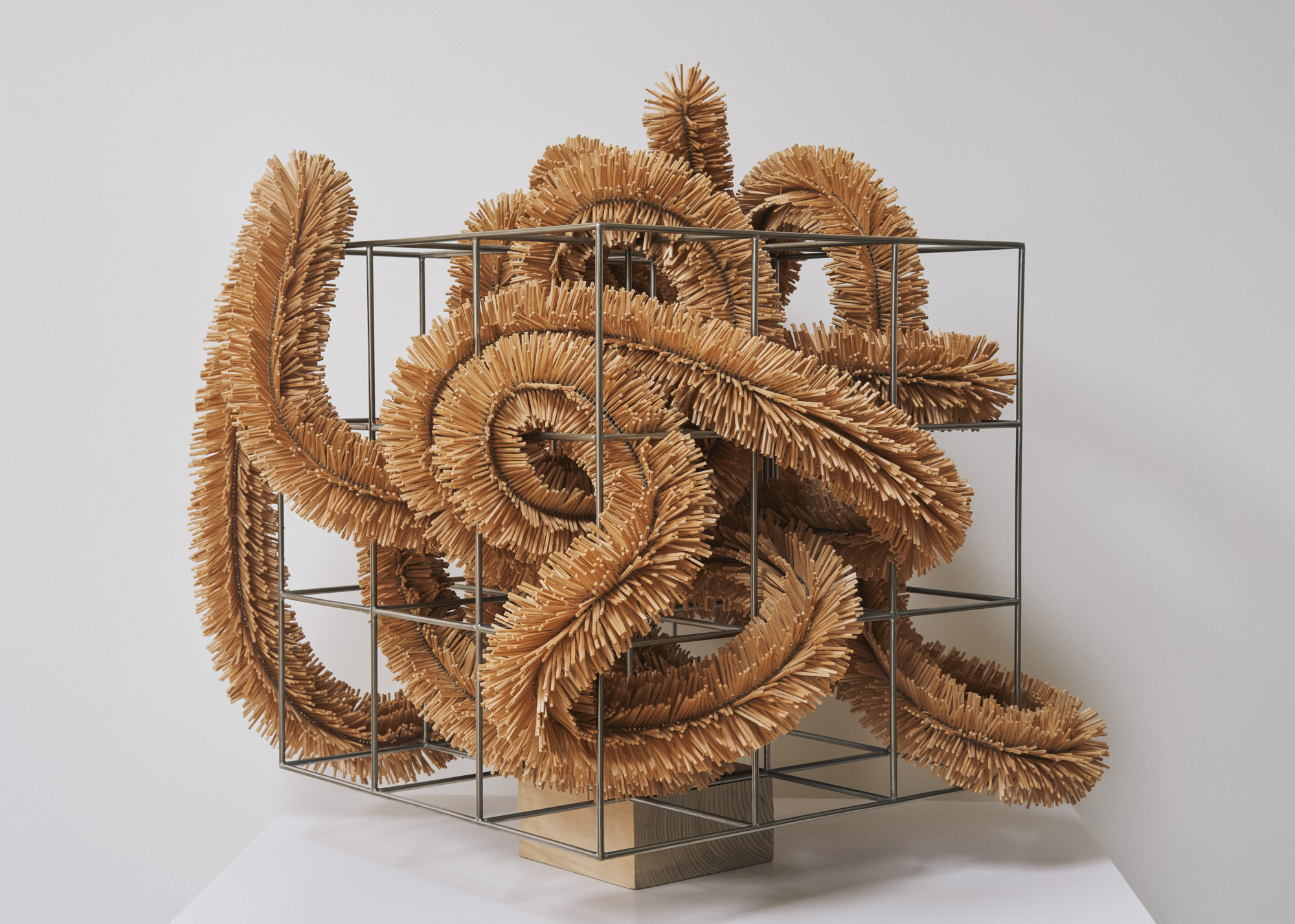 Laocoon - Jacqueline Duncan