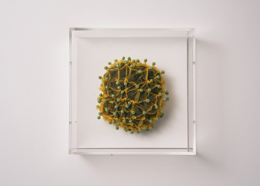 Amoeba series - Jacqueline Duncan