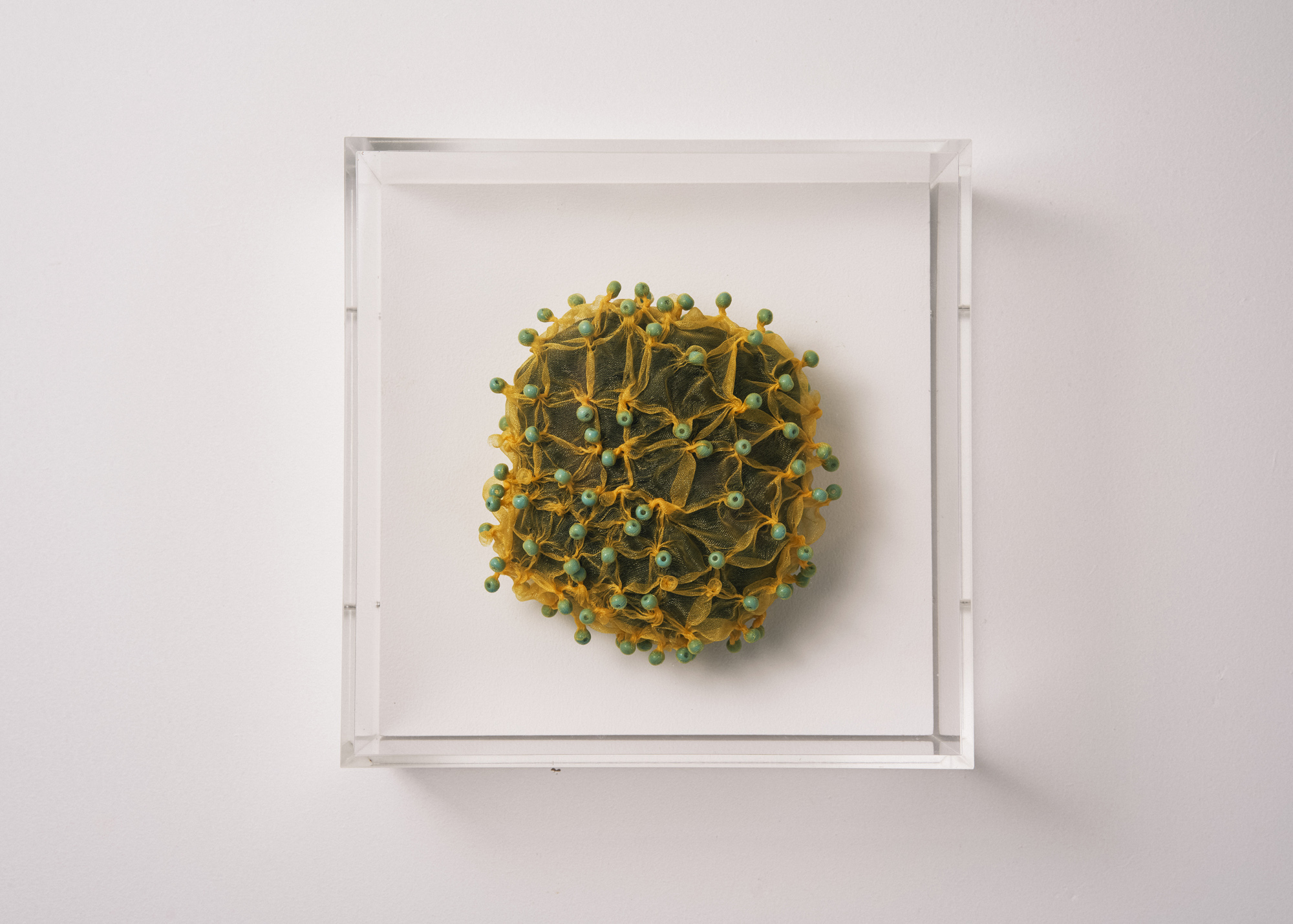 Amoeba series - Jacqueline Duncan