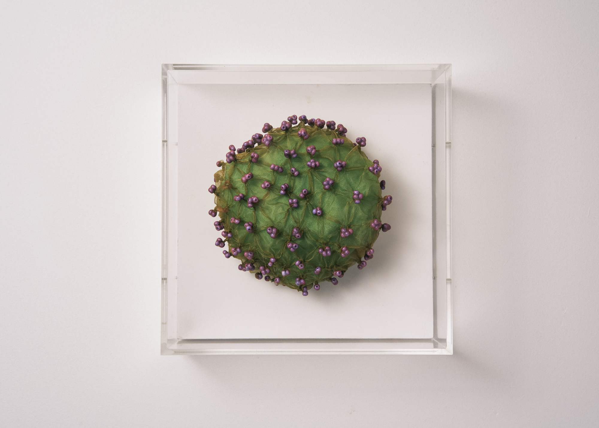 Amoeba series - Jacqueline Duncan