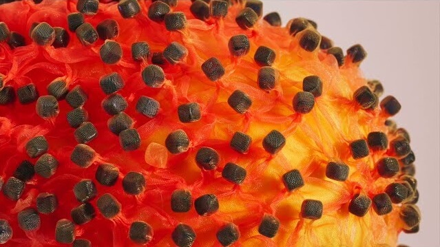 home - Jacqueline Duncan